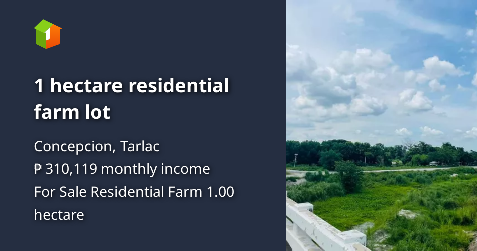 1 hectare residential farm lot [Lots 🚜] (June 2024) in Concepcion ...