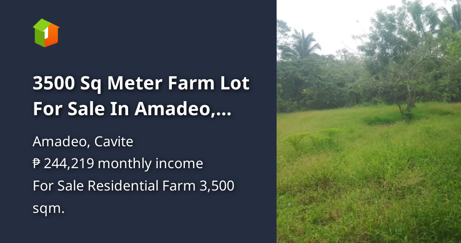 3500 Sq Meter Farm Lot For Sale In Amadeo, Cavite, Near Tagaytay City ...