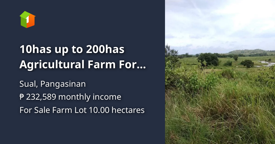 10has up to 200has Agricultural Farm For Sale in Sual Pangasinan [Lots ...