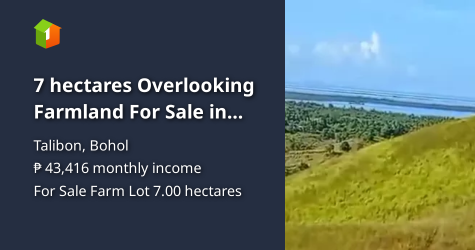 7 hectares Overlooking Farmland For Sale in Talibon Bohol [Lots 🚜] (May ...