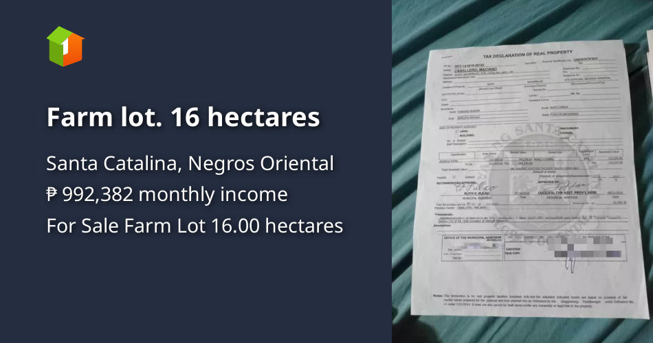 Farm lot. 16 hectares [Lots 🚜] (May 2026) in Santa Catalina, Negros ...