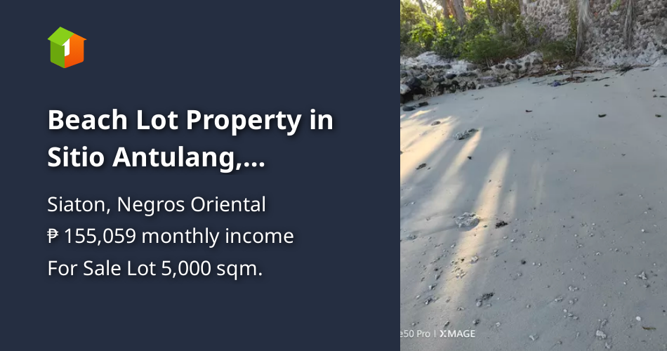 Beach Lot Property in Sitio Antulang, Barangay Siit, Siaton, Negros ...