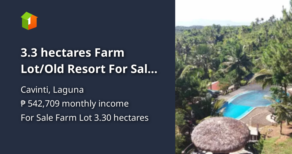 3.3 hectares Farm Lot/Old Resort For Sale in Cavinti Laguna [Lots 🚜 ...