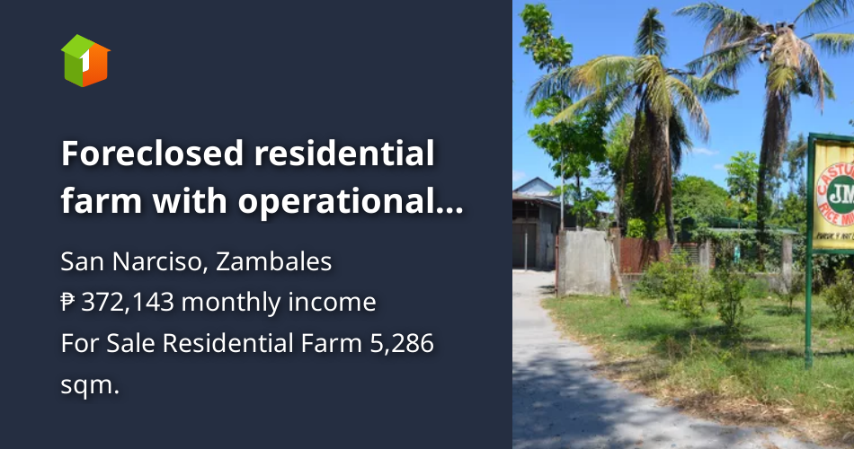 Foreclosed residential farm with operational rice mill for sale in San ...