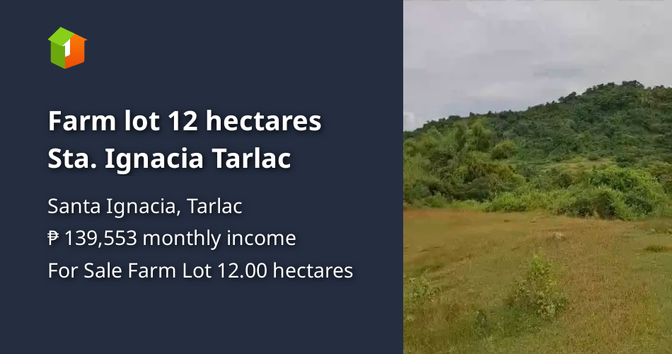 Farm lot 12 hectares Sta. Ignacia Tarlac [Lots 🚜] (December 2025) in ...