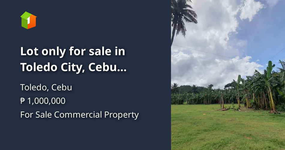 Lot only for sale in Toledo City, Cebu Philippines. [Commercial ...