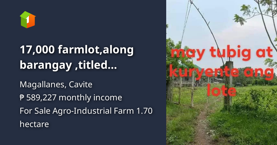 17,000 farmlot,along barangay ,titled gated,with fruit bearing tr [Lots ...