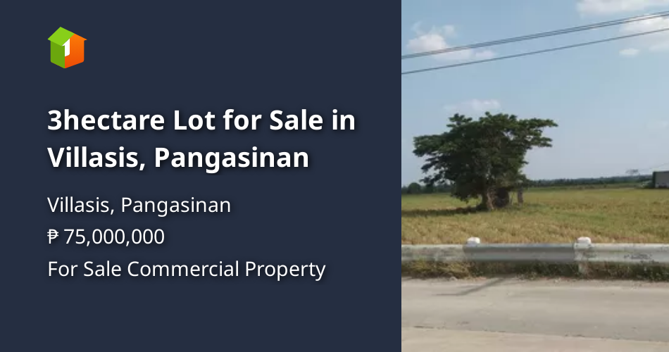 3hectare Lot for Sale in Villasis, Pangasinan [Commercial Properties 🏭 ...
