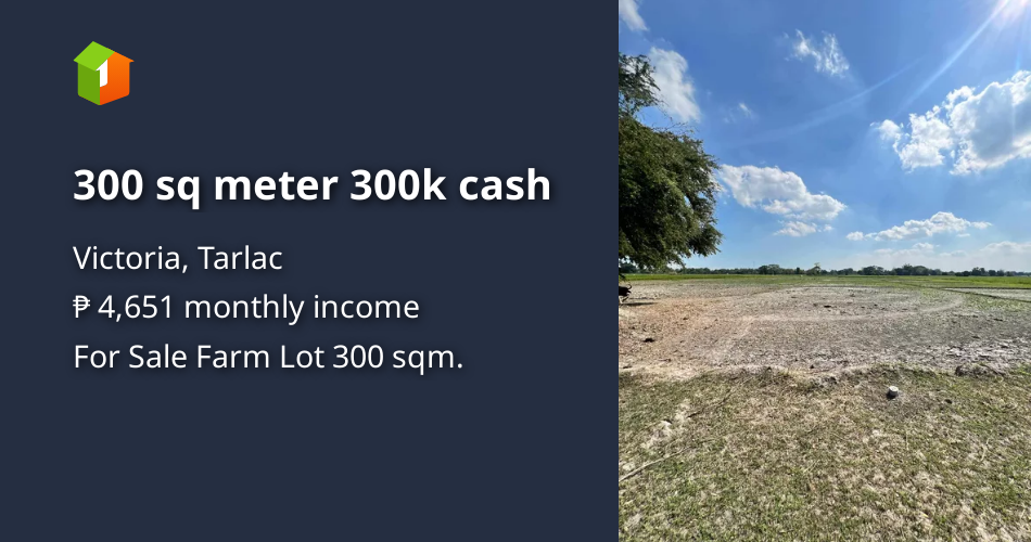 300 sq meter 300k cash [Lots 🚜] (March 2026) in Victoria, Tarlac for sale