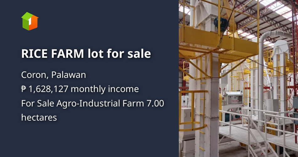RICE FARM lot for sale [Lots 🚜] (September 2024) in Coron, Palawan for sale