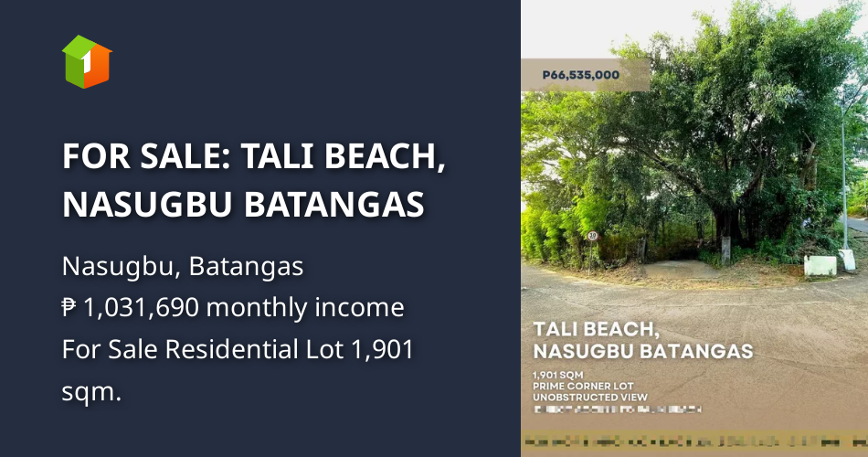 FOR SALE: TALI BEACH, NASUGBU BATANGAS [Lots 🚜] (July 2025) in Nasugbu ...