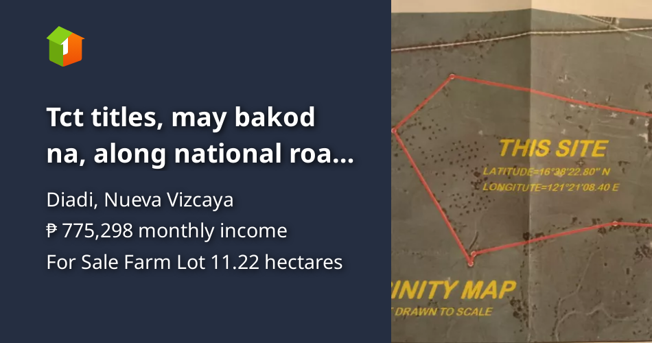 Tct titles, may bakod na, along national road and good for all purpose ...