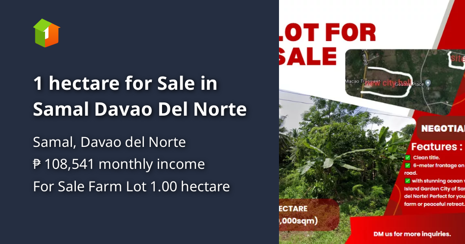1 hectare for Sale in Samal Davao Del Norte [Lots 🚜] (February 2024) in Samal, Davao del Norte ...
