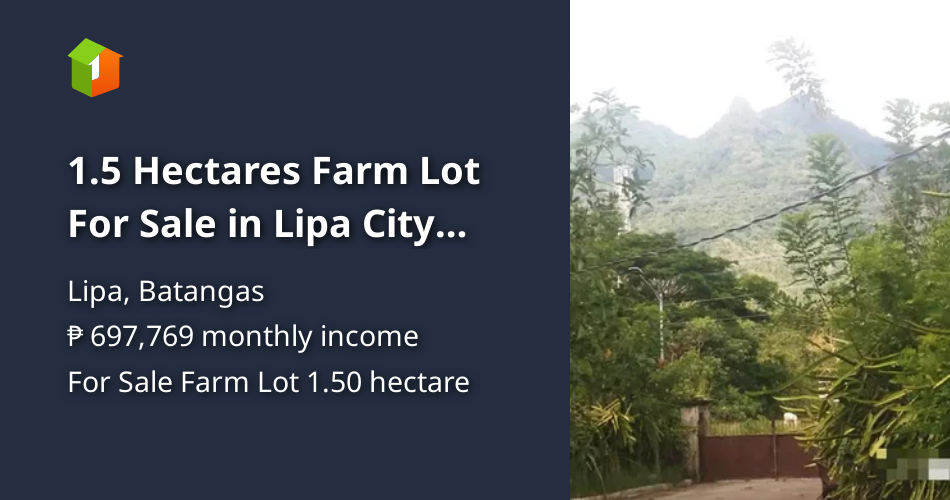 1.5 Hectares Farm Lot For Sale in Lipa City Batangas with fruit bearing ...