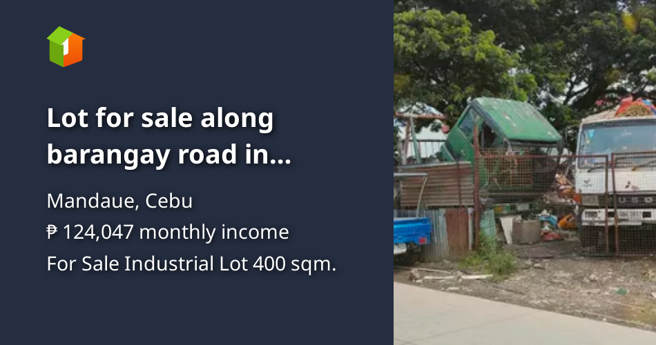 Lot for sale along barangay road in Mandaue 400sqm clean ti [Lots 🚜 ...