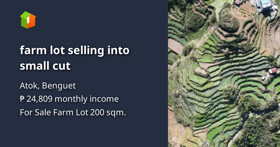 Farm lot selling into small cut [Lots 🚜] (May 2026) in Atok, Benguet ...