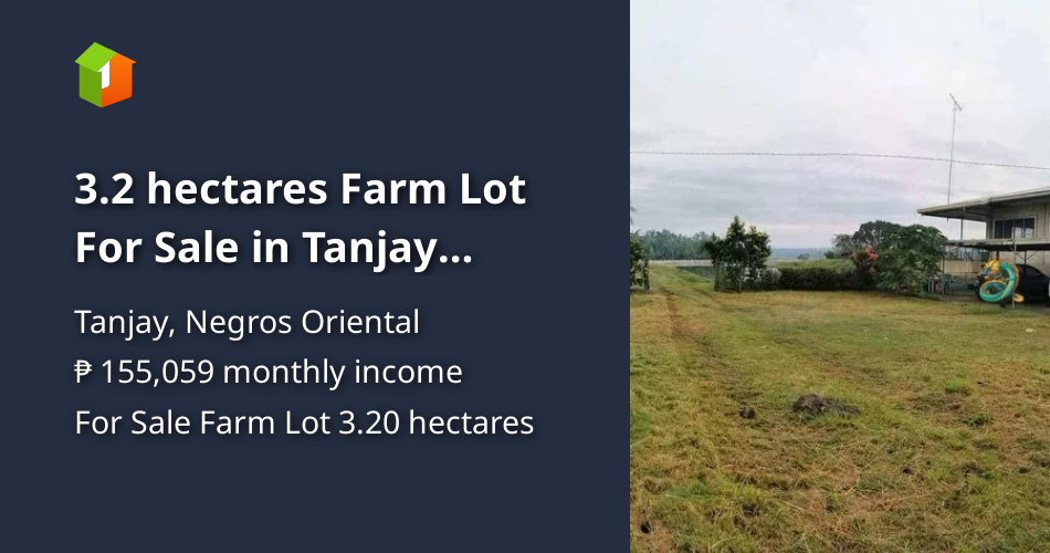 3.2 hectares Farm Lot For Sale in Tanjay Negros Oriental [Lots 🚜 ...