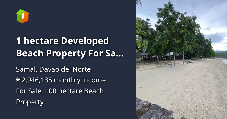 1 hectare Developed Beach Property For Sale in Samal Island, Davao [Beach Properties 🏖️] (June ...