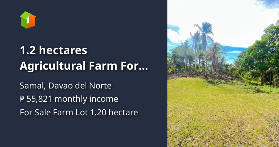 1.2 hectares Agricultural Farm For Sale in Samal Davao Del Norte [Lots 🚜] (June 2025) in Samal ...