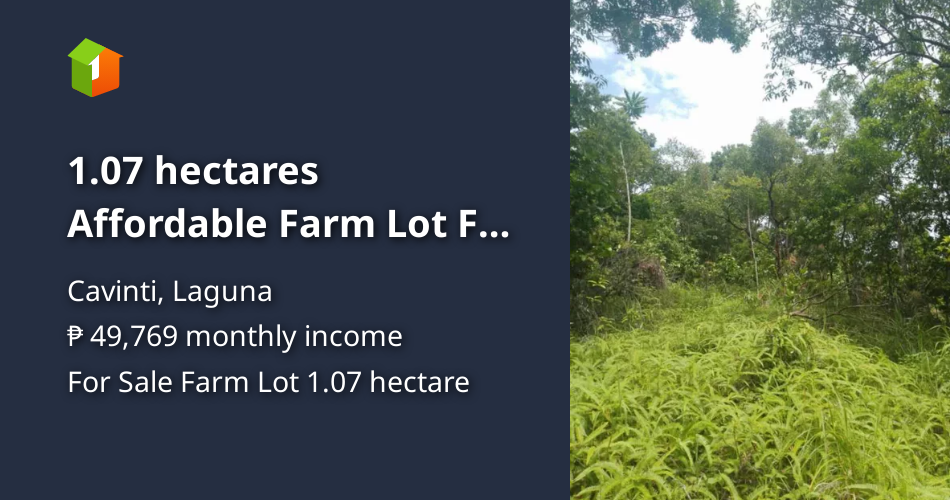 1.07 hectares Affordable Farm Lot For Sale in Cavinti Laguna [Lots 🚜 ...
