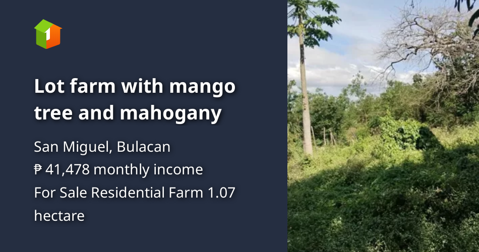 Lot farm with mango tree and mahogany [Lots 🚜] (September 2025) in San ...