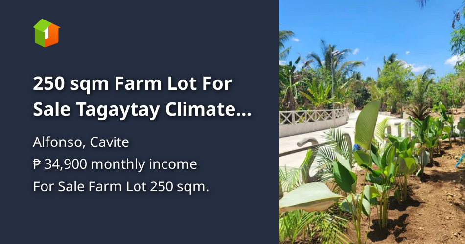 250 sqm Farm Lot For Sale Tagaytay Climate near Twin Lakes Located at Alfonso Cavite [Lots 🚜 ...