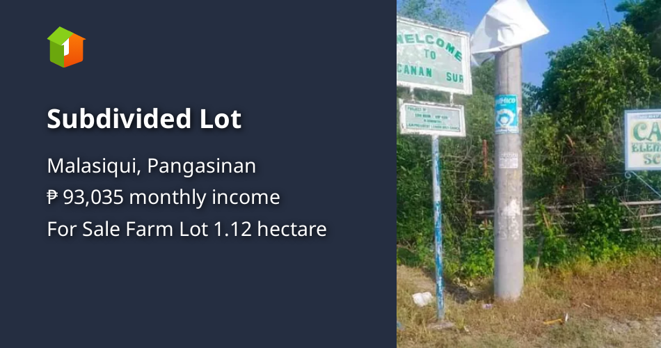 Subdivided Lot [Lots 🚜] (August 2024) in Malasiqui, Pangasinan for sale