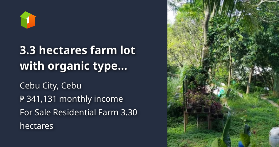 3.3 hectares farm lot with organic type piggery & 100 mango trees 22m ...