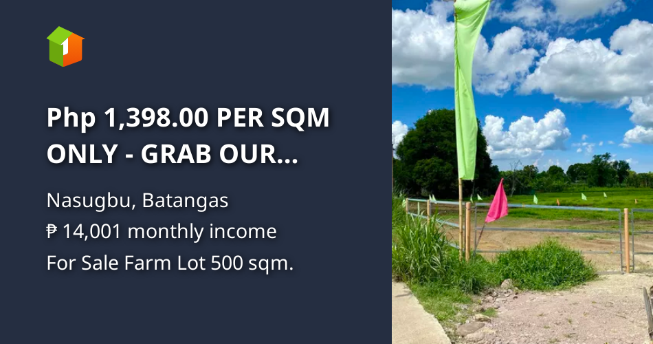 Php 1,398.00 PER SQM ONLY - GRAB OUR DISCOUNTED PRICE! FARM LOT IN ...