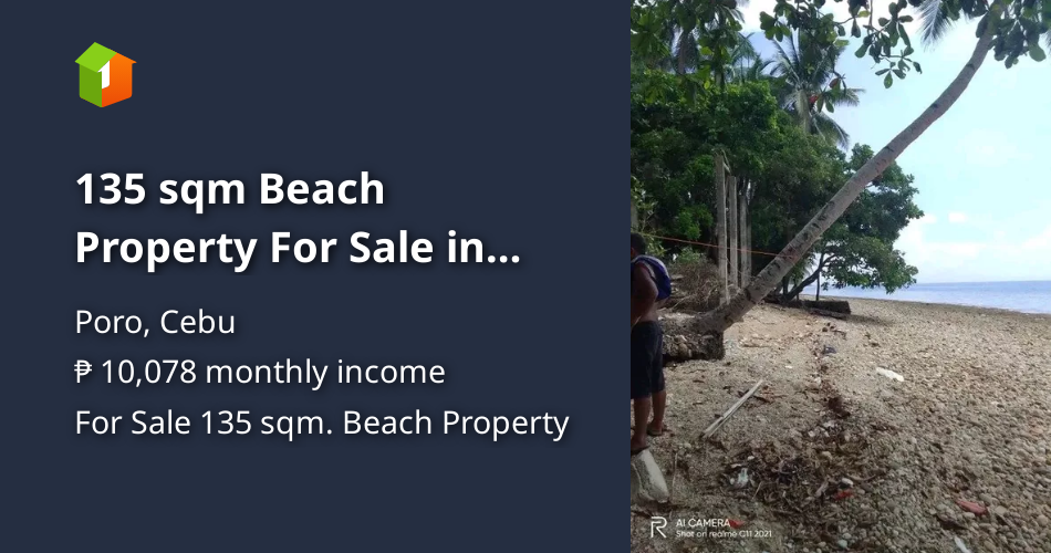 135 sqm Beach Property For Sale in Poro Cebu [Beach Properties 🏖️ ...