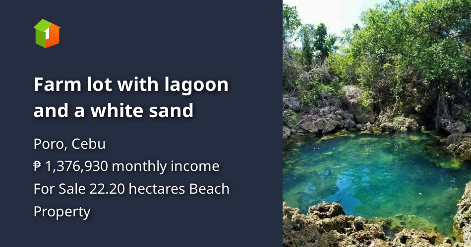 Farm lot with lagoon and a white sand [Beach Properties 🏖️] (August ...