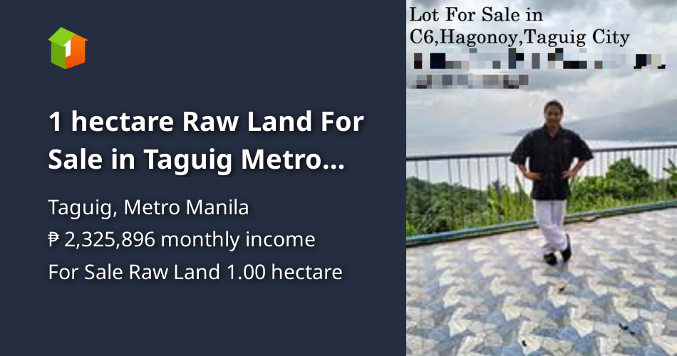 1 hectare Raw Land For Sale in Taguig Metro Manila 150M • [Lots 🚜 ...