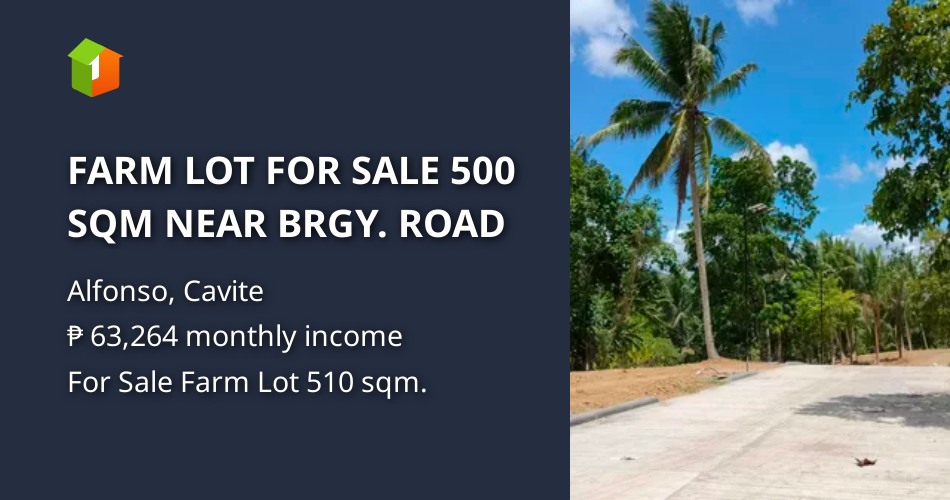 FARM LOT FOR SALE 500 SQM NEAR BRGY. ROAD [Lots 🚜] (February 2025) in ...