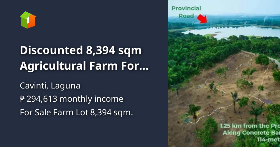 Discounted 8,394 sqm Agricultural Farm For Sale By Owner in Cavinti ...