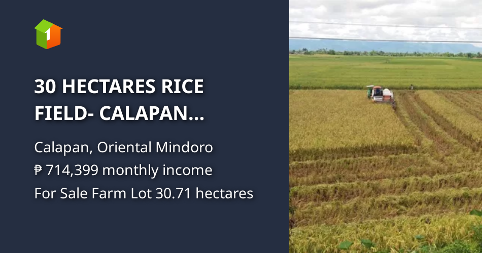 30 HECTARES RICE FIELD- CALAPAN ORIENTAL MINDORO [Lots 🚜] (December ...