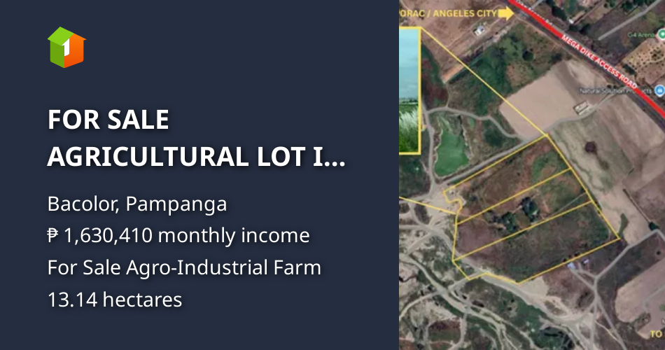 FOR SALE AGRICULTURAL LOT IN BACOLOR PAMPANGA NEAR MEGA DIKE ACCESS ...