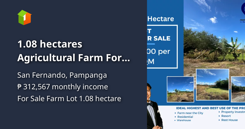 1.08 hectares Agricultural Farm For Sale in San Fernando Pampanga [Lots ...
