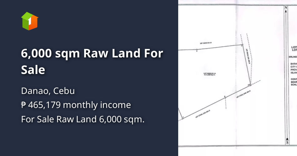 6,000 sqm Raw Land For Sale [Lots 🚜] (June 2024) in Danao, Cebu for sale