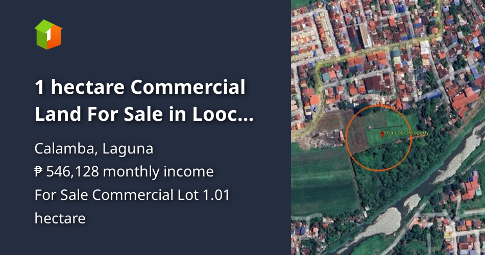 1 hectare Commercial Land For Sale in Looc Calamba Laguna [Lots 🚜] (May ...