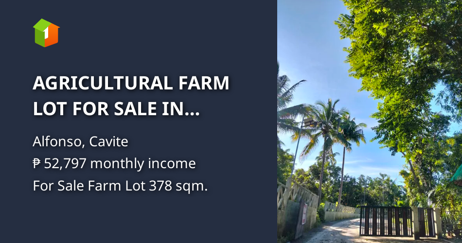 AGRICULTURAL FARM LOT FOR SALE IN ALFONSO CAVITE WITH COLD WEATHER ...