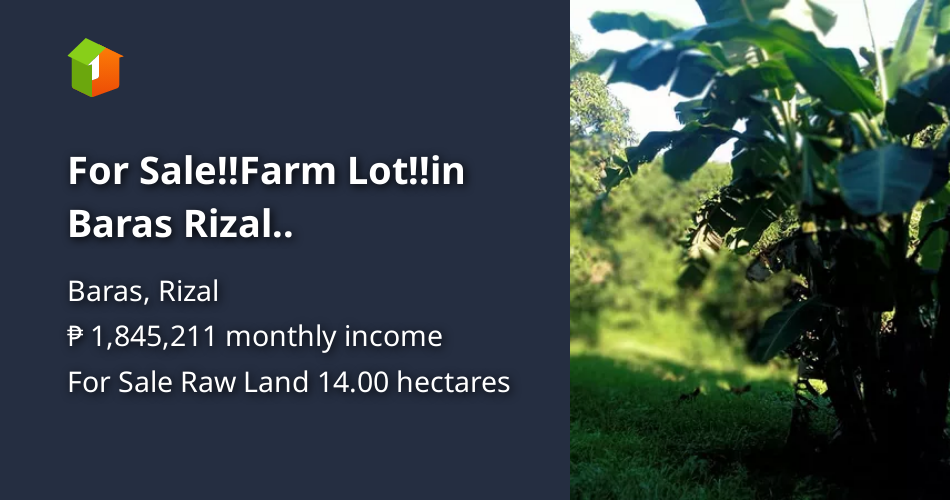 For Sale!!Farm Lot!!in Baras Rizal.. [Lots 🚜] (March 2025) in Baras ...