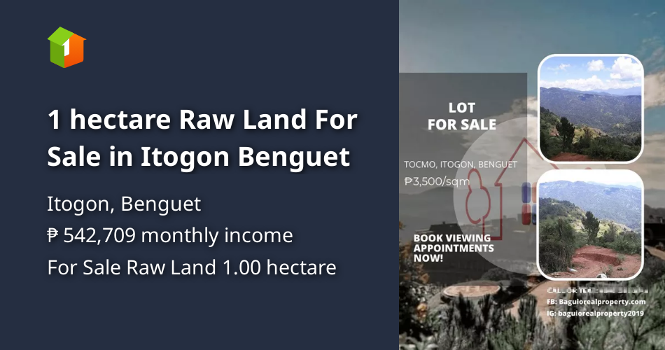 1 hectare Raw Land For Sale in Itogon Benguet [Lots 🚜] (October 2024 ...