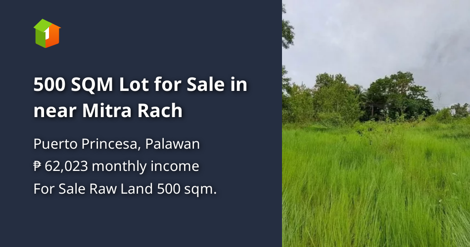 500 SQM Lot for Sale in near Mitra Rach [Lots 🚜] (April 2024) in Puerto ...