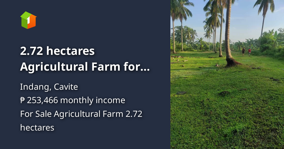 2.72 hectares Agricultural Farm for Sale in Indang, Cavite [Lots 🚜 ...
