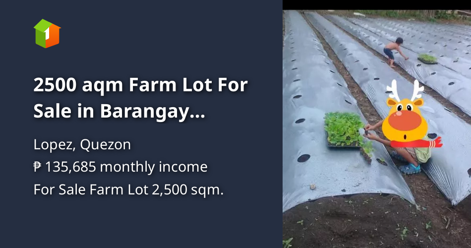 2500 aqm Farm Lot For Sale in Barangay Concepcion Lopez Quezon [Lots 🚜 ...