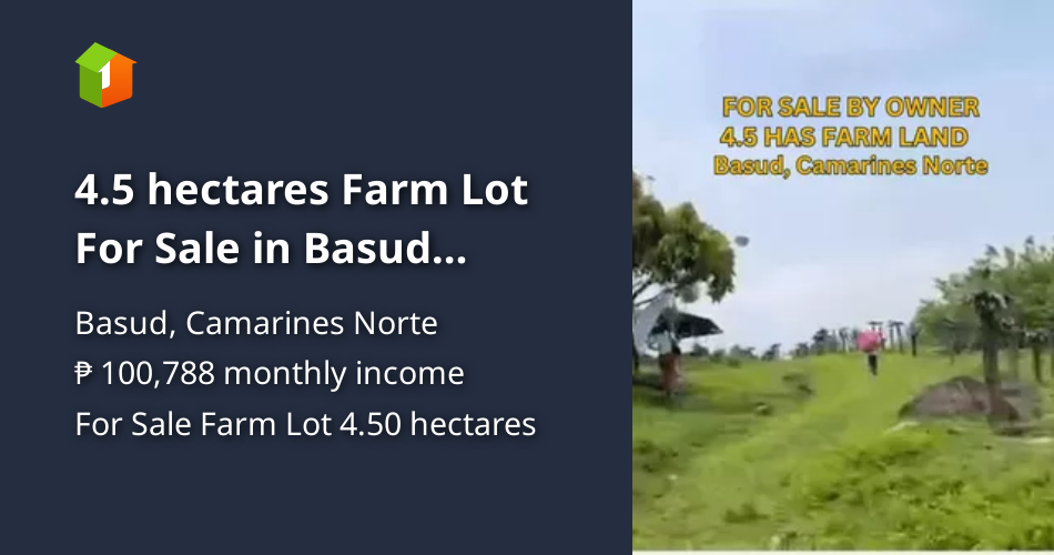 4.5 hectares Farm Lot For Sale in Basud Camarines Norte [Lots 🚜] (March ...