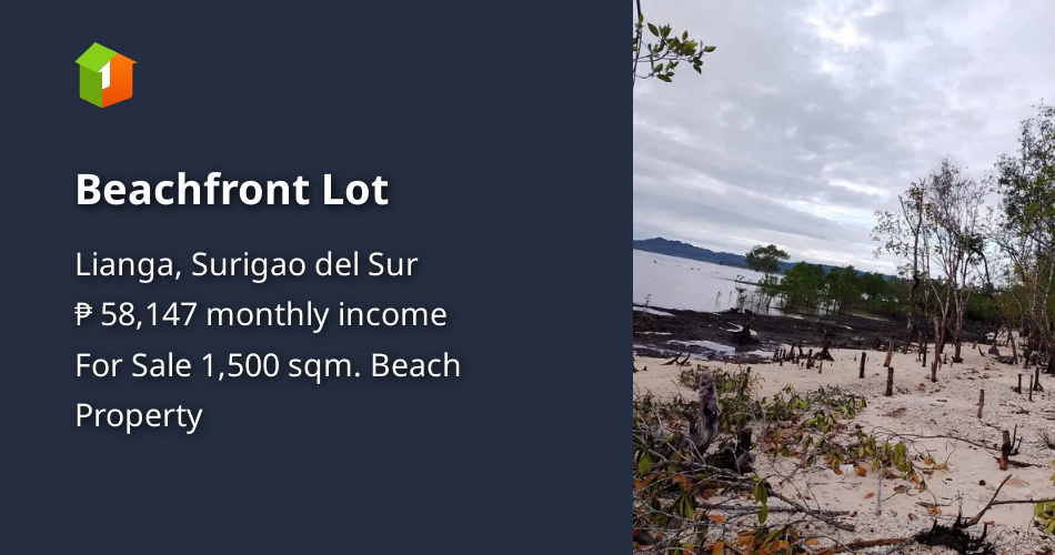 Beachfront Lot [Beach Properties 🏖️] (June 2024) in Lianga, Surigao del ...