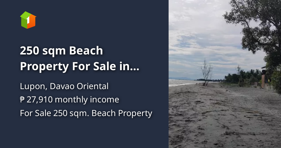 250 sqm Beach Property For Sale in Lupon Davao Oriental [Beach ...