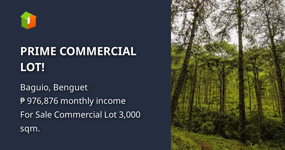PRIME COMMERCIAL LOT! [Lots 🚜] (March 2026) in Baguio, Benguet for sale
