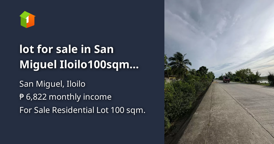 Lot for sale in San Miguel Iloilo100sqm min. cut [Lots 🚜] (April 2026 ...